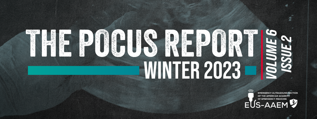 POCUS Report - AAEM